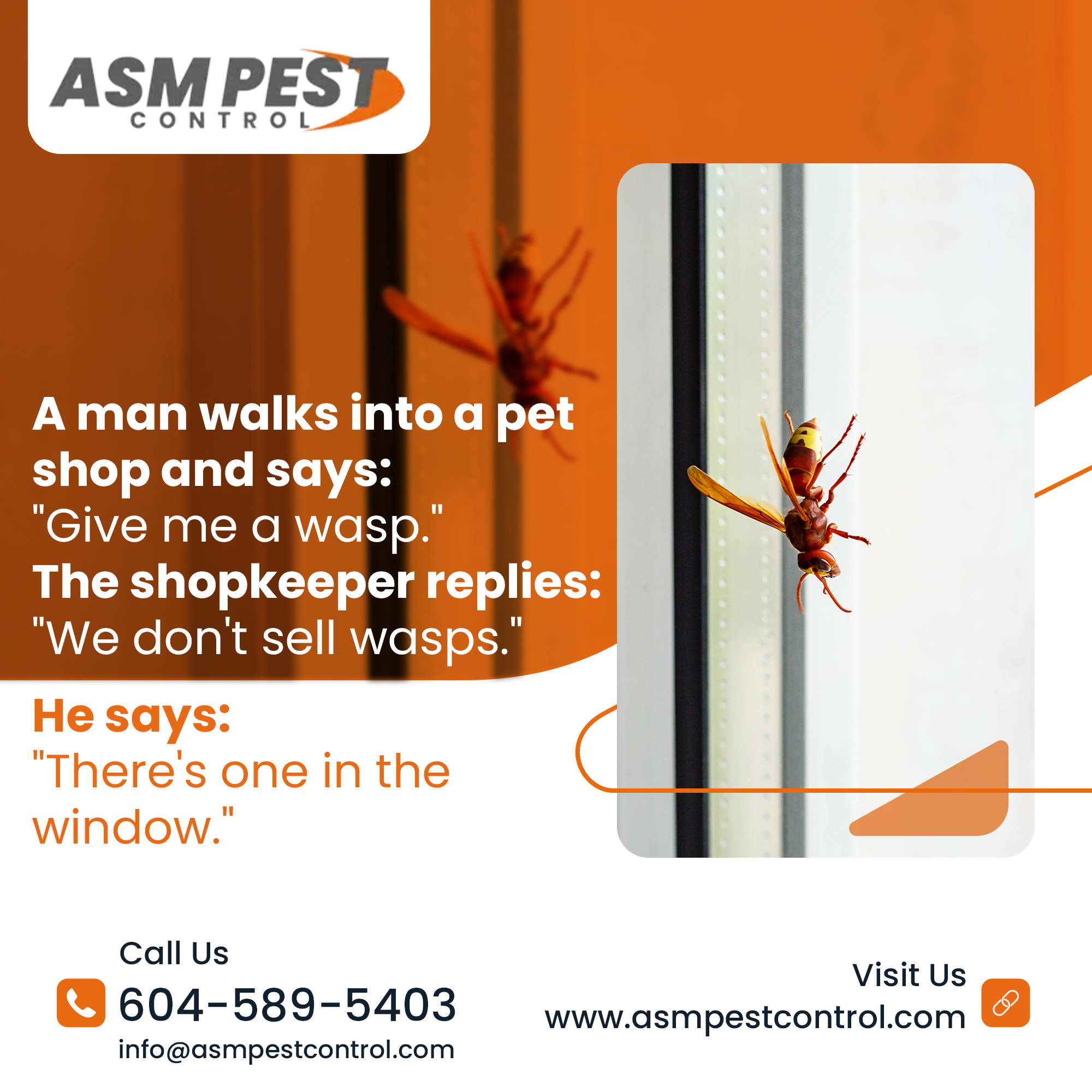 Blog - ASM Pest Control