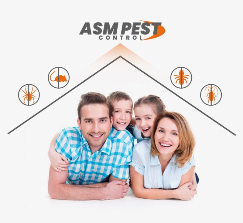 Pest Control Surrey | Trusted Local Exterminators
